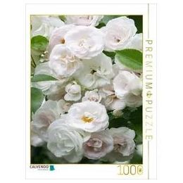 Calvendo Puzzle Wei&szlig;e Rosen 1000 Teile Lege-Gr&ouml;&szlig;e 64x48cm Foto-Puzzle f&uuml;r gl&uuml;ckliche Stunden