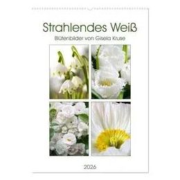 Strahlendes Wei&szlig; Bl&uuml;tenbilder (Wandkalender 2026 DIN A2 hoch), Calvendo Monatskalender