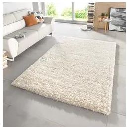 Hochflor-Teppich Hanse Home "Venice" Gr. 4, beige (creme), B:160cm H:45mm L:230cm, Kunstfaser, Teppiche, meliert, Shaggy, dichter Flor, Uni, robust, Langflor, Wohnzimmer