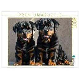 Calvendo Puzzle Majest&auml;tische Rottweiler - Voller Kraft und Loyalit&auml;t 1000 Teile Lege-Gr&ouml;&szlig;e 64x48cm Foto-Puzzle f&uuml;r gl&uuml;ckliche Stunden