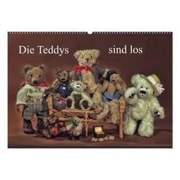 Die Teddys sind los (Wandkalender 2026 DIN A2 quer), Calvendo Monatskalender