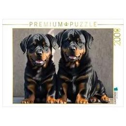 Calvendo Puzzle Majest&auml;tische Rottweiler - Voller Kraft und Loyalit&auml;t 2000 Teile Lege-Gr&ouml;&szlig;e 90x67cm Foto-Puzzle f&uuml;r gl&uuml;ckliche Stunden