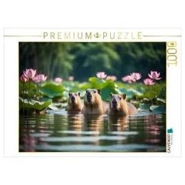 Calvendo Puzzle Capybaras - Wasserschweine in ihrem Element 1000 Teile Lege-Gr&ouml;&szlig;e 64x48cm Foto-Puzzle f&uuml;r gl&uuml;ckliche Stunden