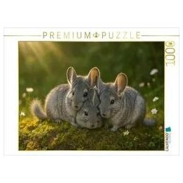 Calvendo Puzzle Kuschelstunde - drei Chinchillas 1000 Teile Lege-Gr&ouml;&szlig;e 64x48cm Foto-Puzzle f&uuml;r gl&uuml;ckliche Stunden