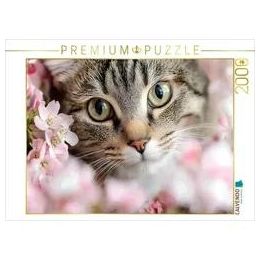 Calvendo Puzzle Wundersch&ouml;ne Tigerkatze im Fr&uuml;hling 2000 Teile Lege-Gr&ouml;&szlig;e 90x67cm Foto-Puzzle f&uuml;r gl&uuml;ckliche Stunden