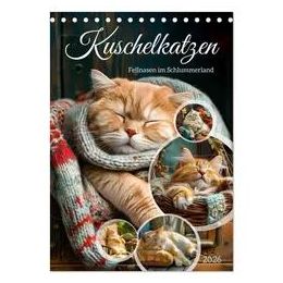 Kuschelkatzen - Fellnasen im Schlummerland (Tischkalender 2026 DIN A5 hoch), Calvendo Monatskalender