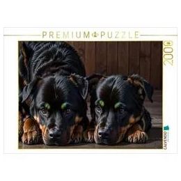 Calvendo Puzzle Majest&auml;tische Rottweiler - Voller Kraft und Loyalit&auml;t 2000 Teile Lege-Gr&ouml;&szlig;e 90x67cm Foto-Puzzle f&uuml;r gl&uuml;ckliche Stunden