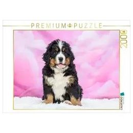 Calvendo Puzzle Berner Sennenhund Baby 2000 Teile Lege-Gr&ouml;&szlig;e 90x67cm Foto-Puzzle f&uuml;r gl&uuml;ckliche Stunden