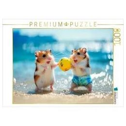 Calvendo Puzzle Beachball Buddies 1000 Teile Lege-Gr&ouml;&szlig;e 64x48cm Foto-Puzzle f&uuml;r gl&uuml;ckliche Stunden