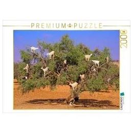 Calvendo Puzzle Ziegen auf Argan-Baum, bei Rabat/Marokko 2000 Teile Lege-Gr&ouml;&szlig;e 90x67cm Foto-Puzzle f&uuml;r gl&uuml;ckliche Stunden