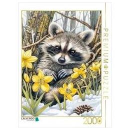 Calvendo Puzzle Waschb&auml;r zwischen den B&auml;umen im Fr&uuml;hling. 2000 Teile Lege-Gr&ouml;&szlig;e 90x67cm Foto-Puzzle f&uuml;r gl&uuml;ckliche Stunden