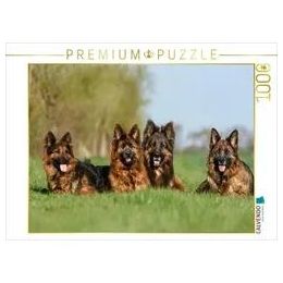 Calvendo Puzzle Freunde f&uuml;r ́s Leben 1000 Teile Lege-Gr&ouml;&szlig;e 64x48cm Foto-Puzzle f&uuml;r gl&uuml;ckliche Stunden