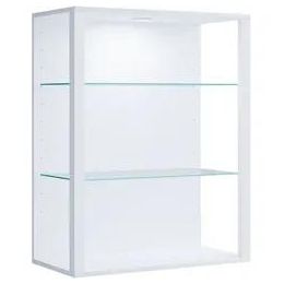 Vcm olz Glas Stand Vitrine Sammelvitrine Glasol LW