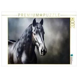 Calvendo Puzzle Ein Motiv aus dem Kalender "Only Black" 2000 Teile Lege-Gr&ouml;&szlig;e 90x67cm Foto-Puzzle f&uuml;r gl&uuml;ckliche Stunden