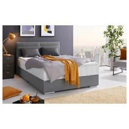 Boxbett COTTA "Tom mit Bettkasten, Topper und Zierkissen", grau, B:145cm L:209cm, Komplettbetten, Bett Betten mit Bettkasten, Bestseller, Unser Dauertiefpreis, Topseller