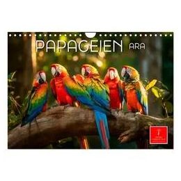 Papageien - Ara (Wandkalender 2026 DIN A4 quer), Calvendo Monatskalender