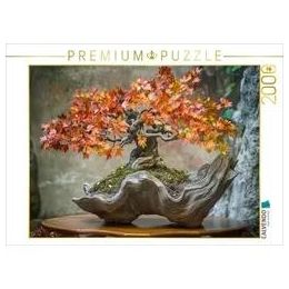 Calvendo Puzzle Bonsai - Die Seele der Natur 2000 Teile Lege-Gr&ouml;&szlig;e 90x67cm Foto-Puzzle f&uuml;r gl&uuml;ckliche Stunden