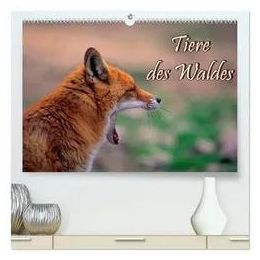 Calvendo Tiere des Waldes (hochwertiger Premium Wandkalender 2026 DIN A2 quer), Kunstdruck in Hochglanz