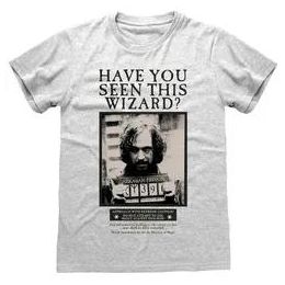 Harry Potter Sirius Black Poster Grey T-Shirt M