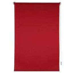 HTI-Living Tageslichtrollo 80 x 150 Rot Marisol