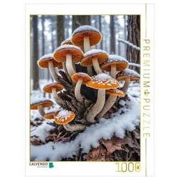 Calvendo Puzzle Samtfu&szlig;r&uuml;bling im frostigen Winterwald 1000 Teile Lege-Gr&ouml;&szlig;e 64x48cm Foto-Puzzle f&uuml;r gl&uuml;ckliche Stunden