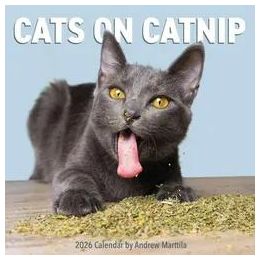 Cats on Catnip Wall Calendar 2026