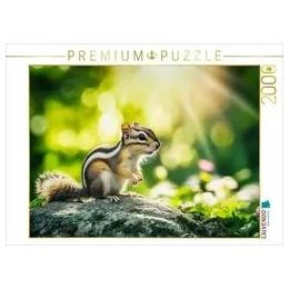 Calvendo Puzzle Auf der Lauer 2000 Teile Lege-Gr&ouml;&szlig;e 90x67cm Foto-Puzzle f&uuml;r gl&uuml;ckliche Stunden