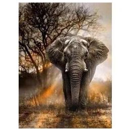 FiguredArt DP-163-Y - Diamond Painting, Elefant in der Savanne, Leinwand-Keilrahmen 40x50cm, Diamond Painting Set
