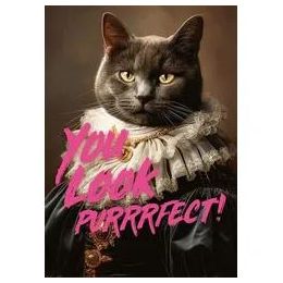 Piatnik You Look Purrrfect !