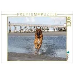 Calvendo Puzzle Deutscher Sch&auml;ferhund in Sankt Peter-Ording 1000 Teile Lege-Gr&ouml;&szlig;e 64x48cm Foto-Puzzle f&uuml;r gl&uuml;ckliche Stunden