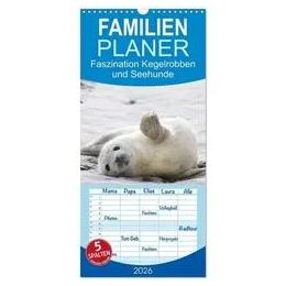 Familienplaner 2026 - Faszination Kegelrobben und Seehunde mit 5 Spalten (Wandkalender, 21 x 45 cm) Calvendo