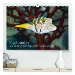 Calvendo Fischzauber - Wundervolle Aquarienfische (hochwertiger Premium Wandkalender 2026 DIN A2 quer), Kunstdruck in Hochglanz