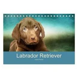 Labrador Retriever unsere Freunde (Tischkalender 2026 DIN A5 quer), Calvendo Monatskalender