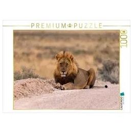 Calvendo Puzzle Majest&auml;tische L&ouml;we 1000 Teile Lege-Gr&ouml;&szlig;e 64x48cm Foto-Puzzle f&uuml;r gl&uuml;ckliche Stunden