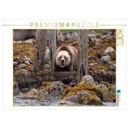 Calvendo Puzzle Auf der Lauer 1000 Teile Lege-Gr&ouml;&szlig;e 64x48cm Foto-Puzzle f&uuml;r gl&uuml;ckliche Stunden