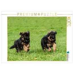 Calvendo Puzzle Lauf um die Wette 1000 Teile Lege-Gr&ouml;&szlig;e 64x48cm Foto-Puzzle f&uuml;r gl&uuml;ckliche Stunden