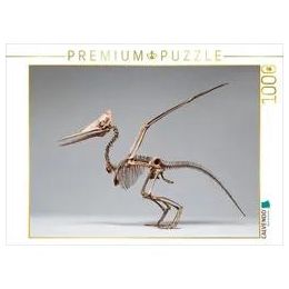 Calvendo Puzzle Pteranodon-Skelett mit Fl&uuml;gelspannweite und Kammprofil 1000 Teile Lege-Gr&ouml;&szlig;e 64x48cm Foto-Puzzle f&uuml;r gl&uuml;ckliche Stunden