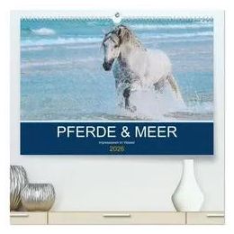 Calvendo PFERDE & MEER (hochwertiger Premium Wandkalender 2026 DIN A2 quer), Kunstdruck in Hochglanz
