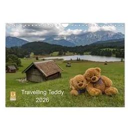 Travelling Teddy 2026 (Wandkalender 2026 DIN A4 quer), Calvendo Monatskalender
