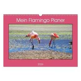Mein Flamingo Planer (Wandkalender 2026 DIN A3 quer), Calvendo Monatskalender