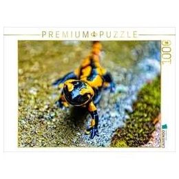 Calvendo Puzzle Feuersalamander m Harz 1000 Teile Lege-Gr&ouml;&szlig;e 64x48cm Foto-Puzzle f&uuml;r gl&uuml;ckliche Stunden