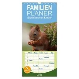 Familienplaner 2026 - Eichh&ouml;rnchen Kinder mit 5 Spalten (Wandkalender, 21 x 45 cm) Calvendo