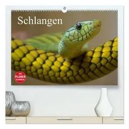 Calvendo Schlangen (hochwertiger Premium Wandkalender 2026 DIN A2 quer), Kunstdruck in Hochglanz