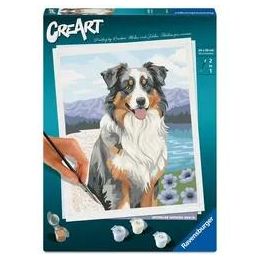 Ravensburger CreArt 12023114 - Australian Shepherd Merlin - Malen nach Zahlen ab 12 Jahren