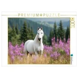Calvendo Puzzle Majest&auml;tischer Lipizzaner auf Blumenwiese 1000 Teile Lege-Gr&ouml;&szlig;e 64x48cm Foto-Puzzle f&uuml;r gl&uuml;ckliche Stunden
