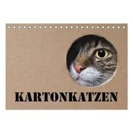 Karton Katzen (Tischkalender 2026 DIN A5 quer), Calvendo Monatskalender