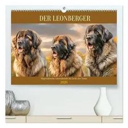 Calvendo Der Leonberger. Majest&auml;tische L&ouml;wenhunde im Licht der Natur (hochwertiger Premium Wandkalender 2026 DIN A2 quer), Kunstdruck in Hochglanz