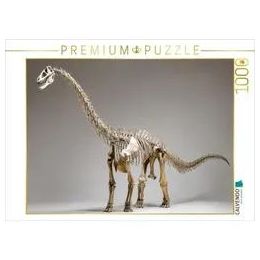 Calvendo Puzzle Dinosaurier Brachiosaurus-Skelett mit langem Hals und kr&auml;ftigem K&ouml;rper 1000 Teile Lege-Gr&ouml;&szlig;e 64x48cm Foto-Puzzle f&uuml;r gl&uuml;ckliche Stun