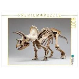 Calvendo Puzzle Dinosaurier Triceratops-Skelett mit H&ouml;rnern und gro&szlig;em Nackenschild 1000 Teile Lege-Gr&ouml;&szlig;e 64x48cm Foto-Puzzle f&uuml;r gl&uuml;ckliche Stunden