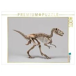 Calvendo Puzzle Dinosaurier Velociraptor-Skelett - kleiner Raubsaurier mit langen Krallen 1000 Teile Lege-Gr&ouml;&szlig;e 64x48cm Foto-Puzzle f&uuml;r gl&uuml;ckliche S